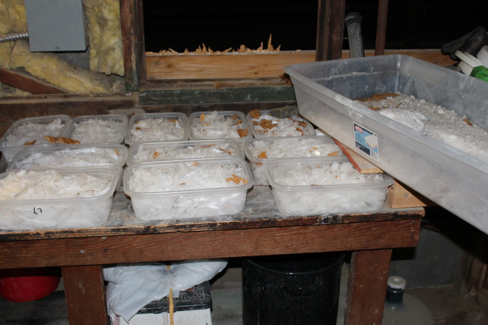 DOJ Agents Wipe Out Mega Meth Lab - California Statewide Law ...