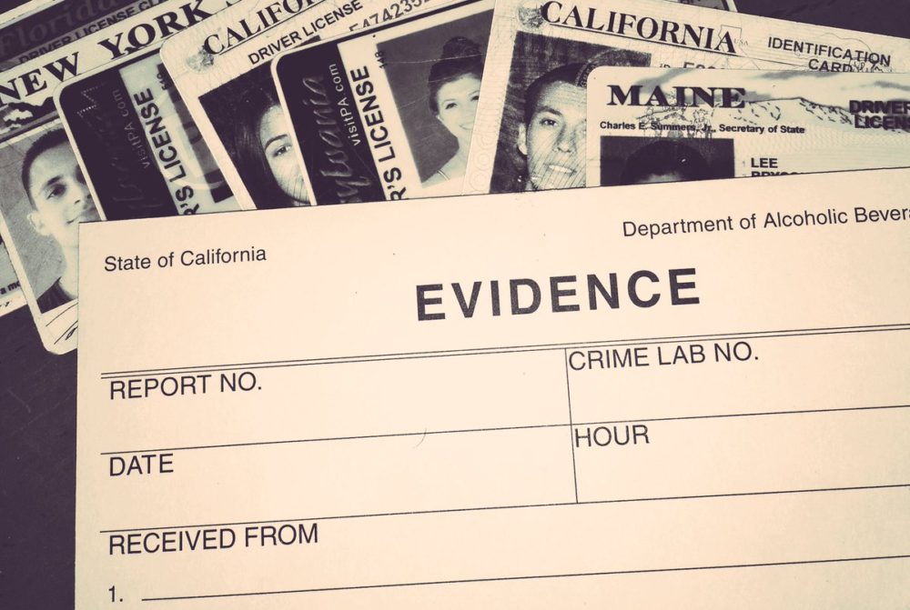 ABC Agents Work 3-Day Nocturnal Wonderland Rave Concert - California ...