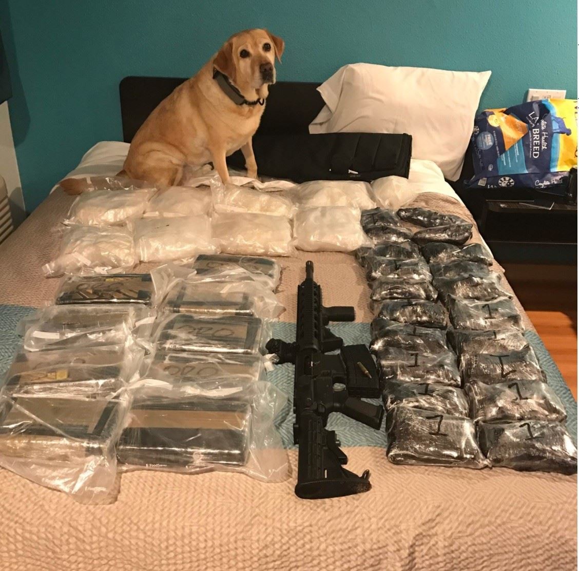 California DOJ Agents Crackdown on Gang Activity in San Bernardino ...