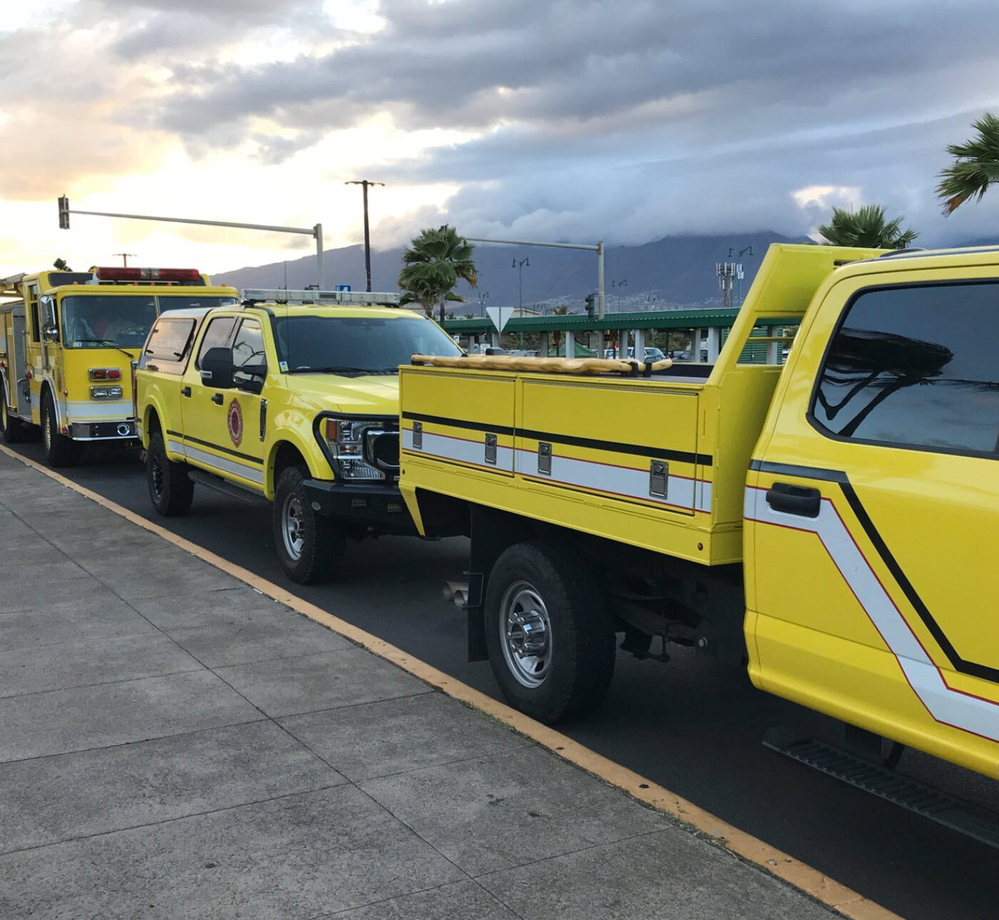 CSLEA Members at Cal OES Return from Hawaii Following Wildfire ...