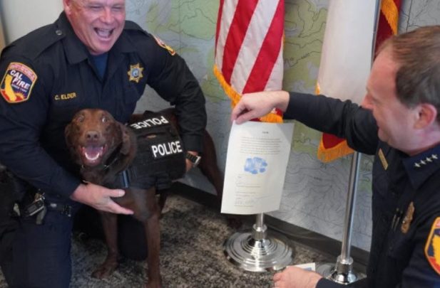 Canine Unit Returns to CALFIRE’s OSFM Arson and Bomb Unit - California ...