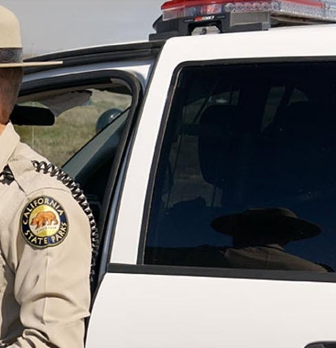 Rangers and Wardens Respond to Mountain Lion Attack at California State ...